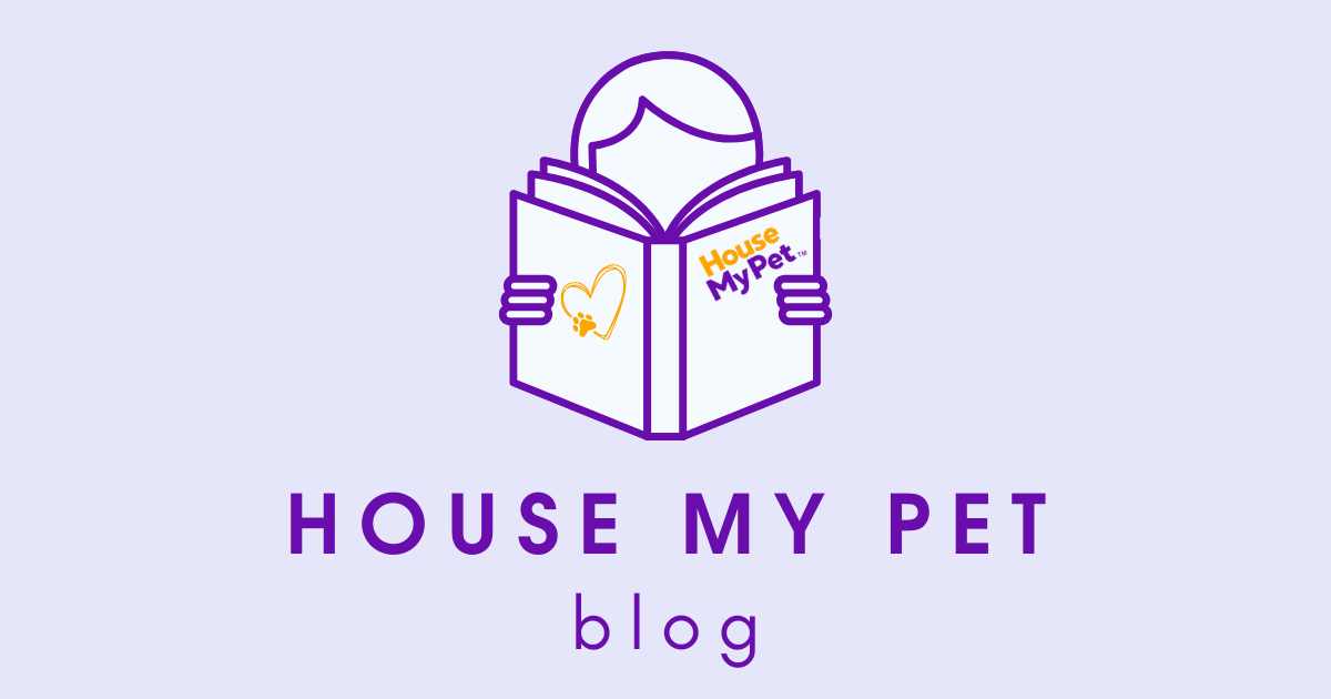 Unlocking the Secrets of Animal Communication: How to Understand Your ...